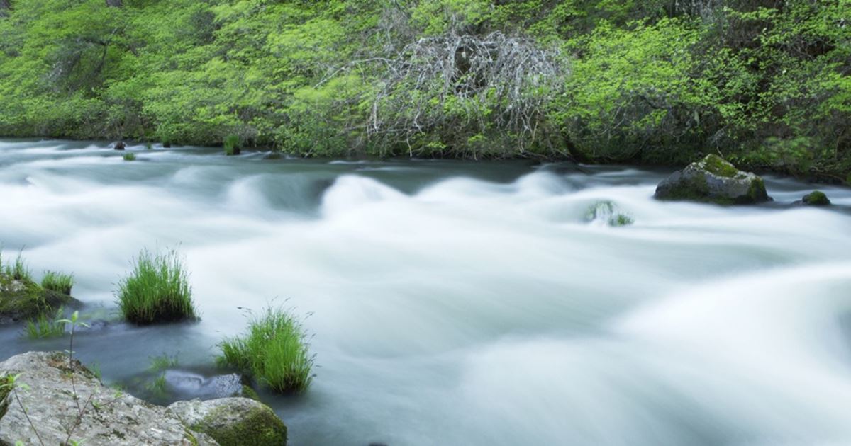 Pit River Fishing Report - Redding, California