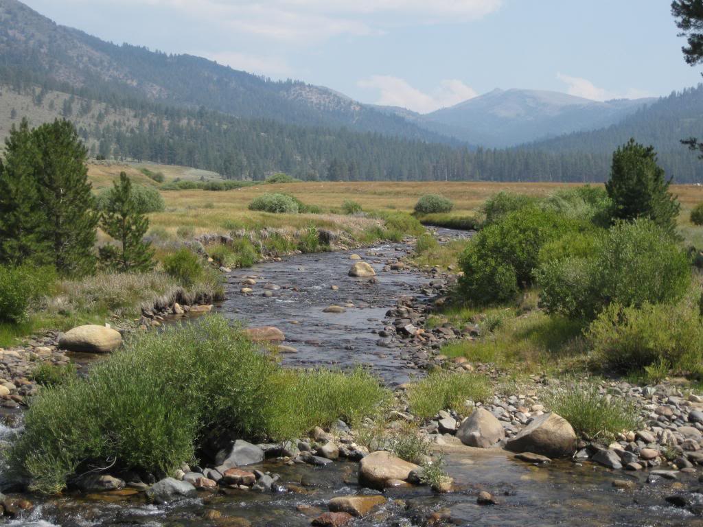 East Carson River Fishing Report - Carson City, Nevada