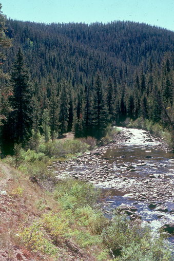Encampment River Wilderness Fishing Access Site - Encampment, Wyoming