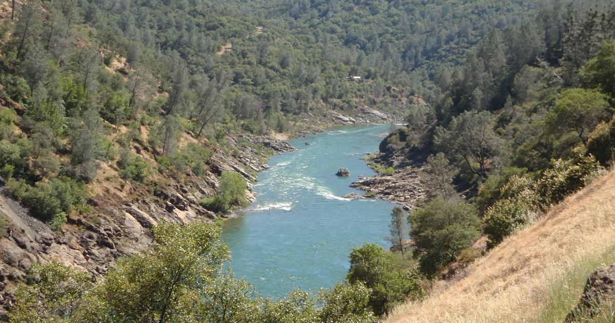 Salmon Fishing Yuba River at Terry Greene blog