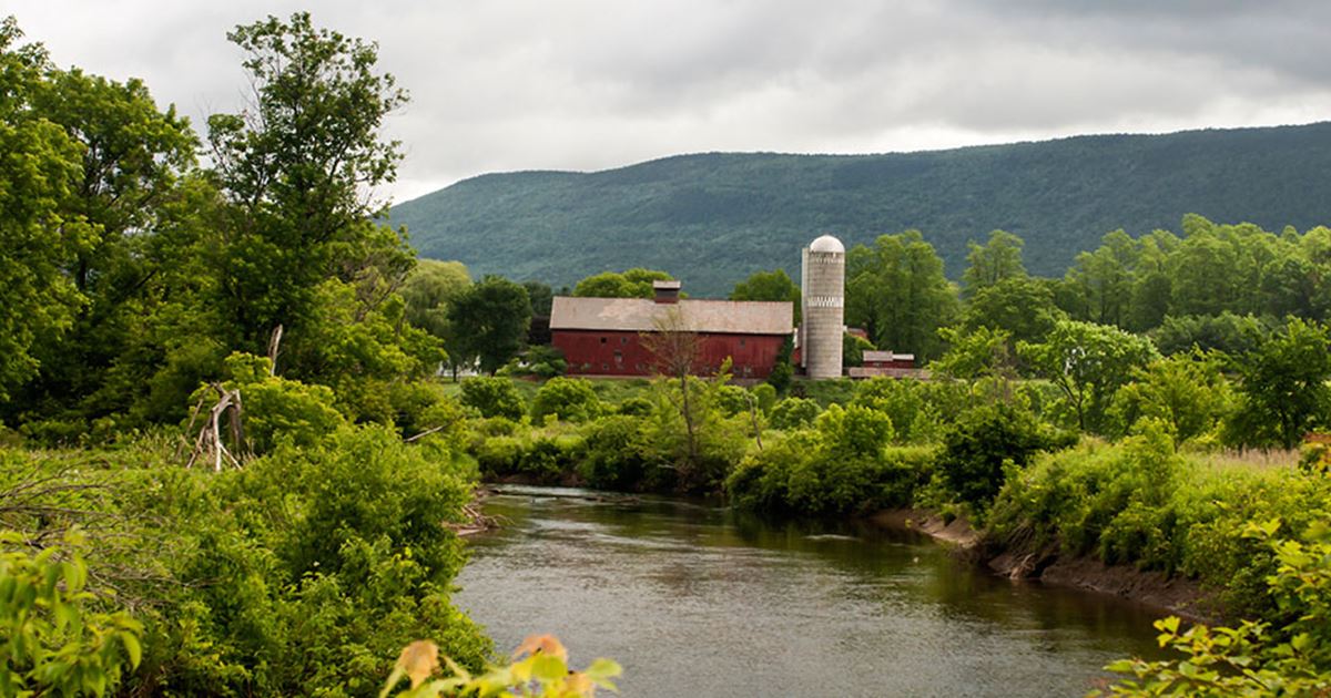 Battenkill River Fishing Report, Vermont