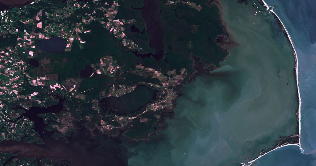 Pamlico Sound Fishing Report, North Carolina