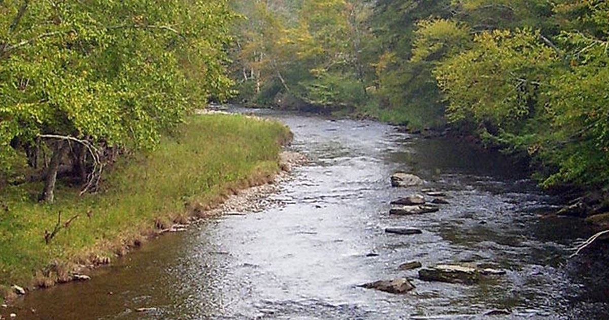 Beaverkill River Fishing Report - Roscoe, New York