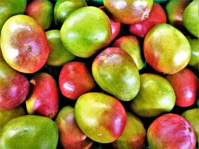 Delectable Belizean Tropical Fruits You Must Taste